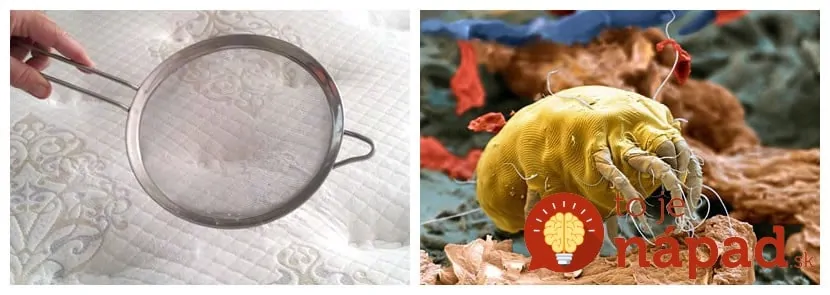 Skoncujte s roztočmi v matracoch a kobercoch: Toto je najjednoduchší ...