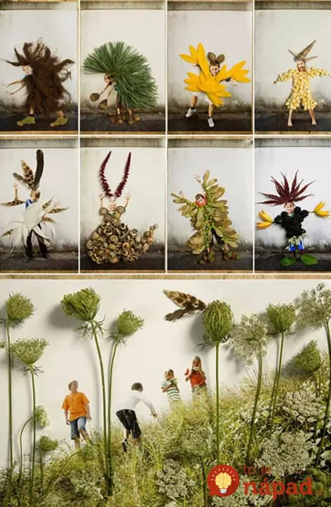 Začnite zbierať jesenné lístie: 25 úžasných nápadov, ako ho premeniť na ...