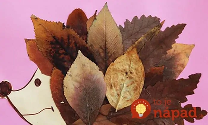 Začnite zbierať jesenné lístie: 25 úžasných nápadov, ako ho premeniť na ...