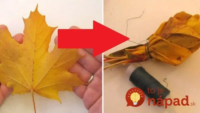 Začnite zbierať jesenné lístie: 25 úžasných nápadov, ako ho premeniť na ...