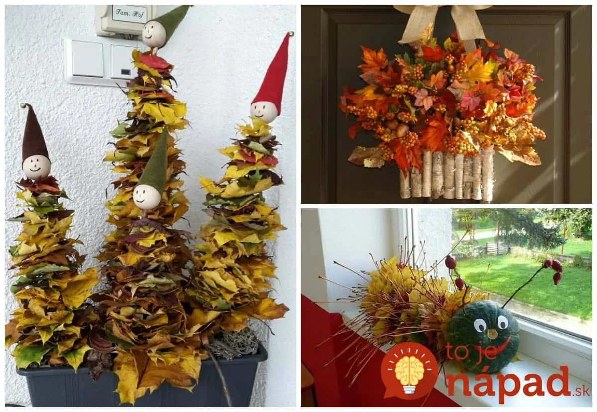 Začnite zbierať opadané lístie: 25 úžasných nápadov, ako ich premeniť ...