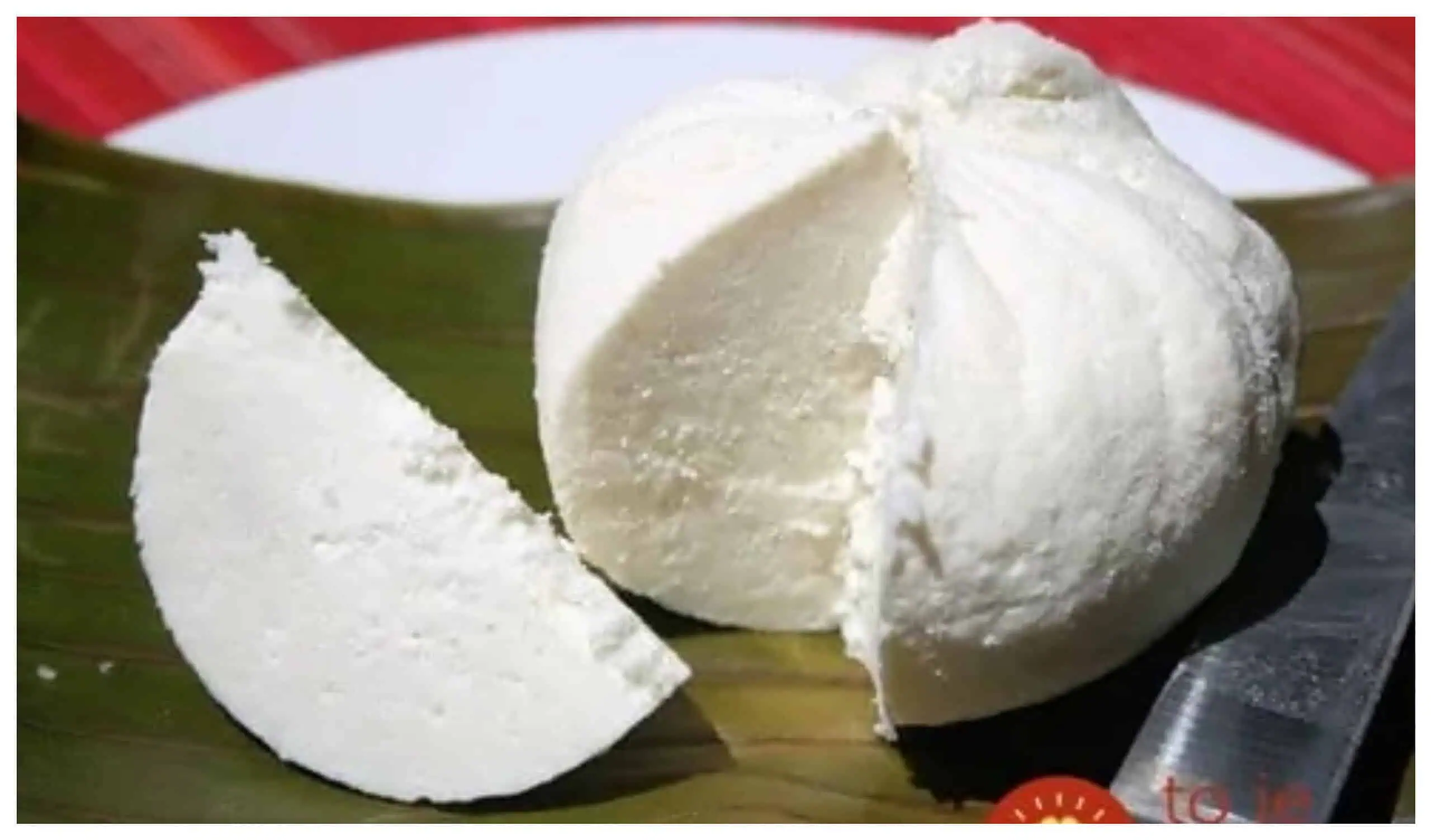 Priateľ z Chorvátska mi ukázal, ako sa robí domáci BALKÁNSKY SYR. Už si ...