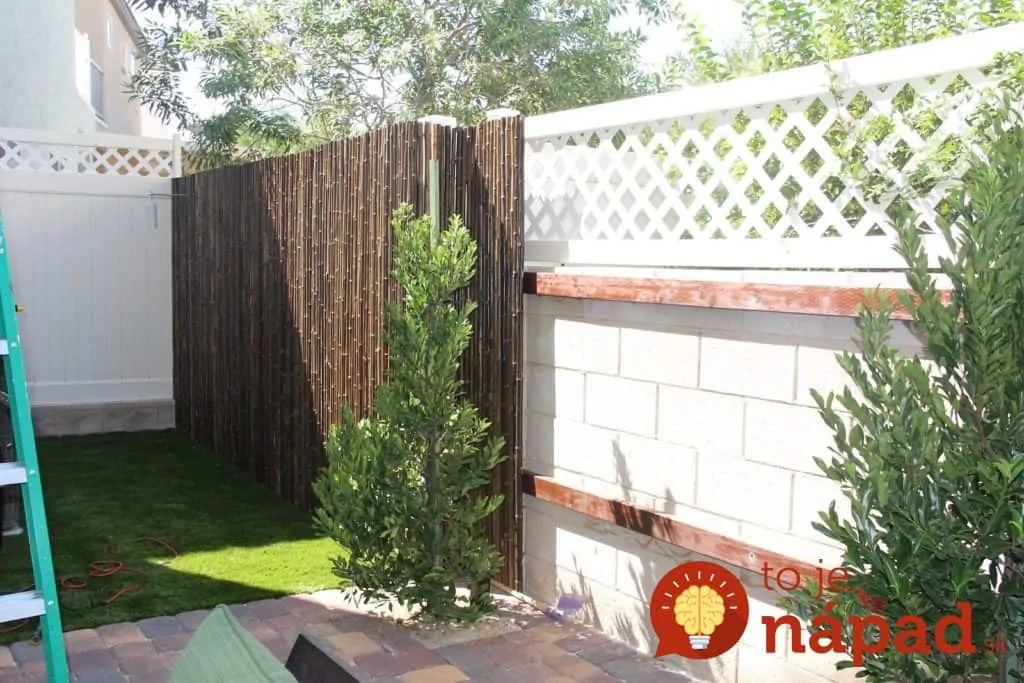 Perfektné nápady, ako zakryť škaredý betónový plot na záhrade: Vyzerá ...