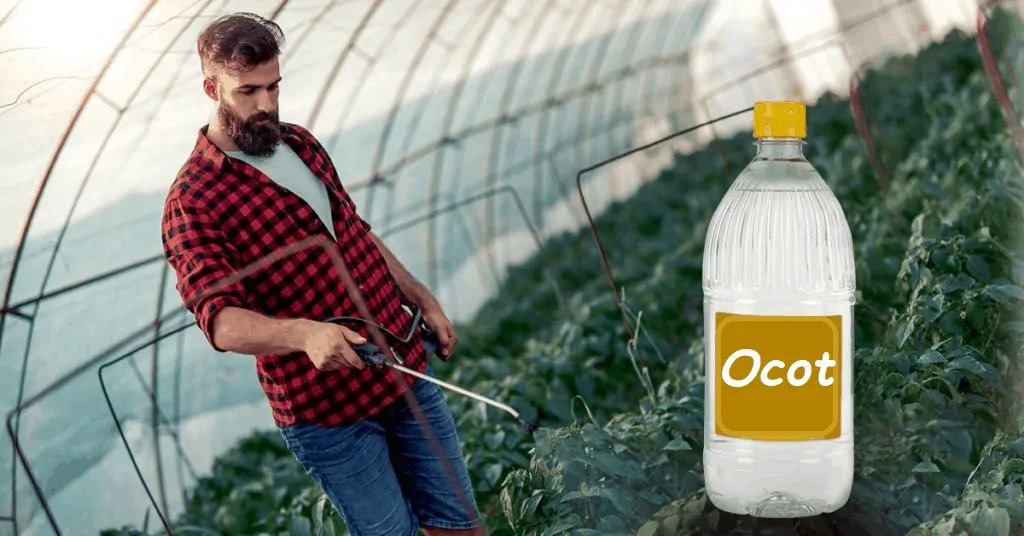 7 nezvyčajných spôsobov, ako využiť ocot v záhonoch a na záhrade ...