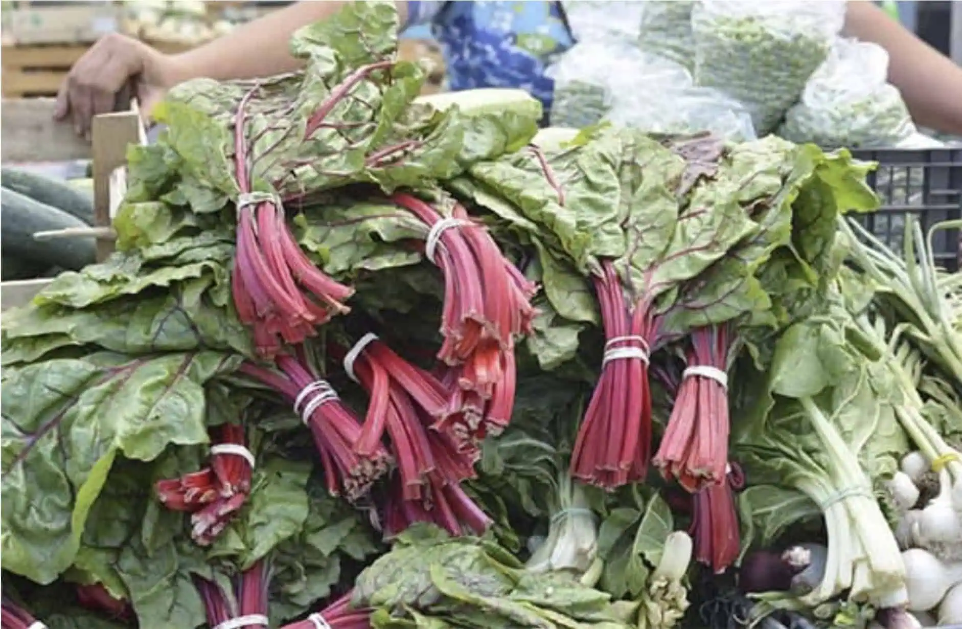 NIKDY nevyhadzujte vňať z červenej repy: Je cennejšia, ako samotný ...