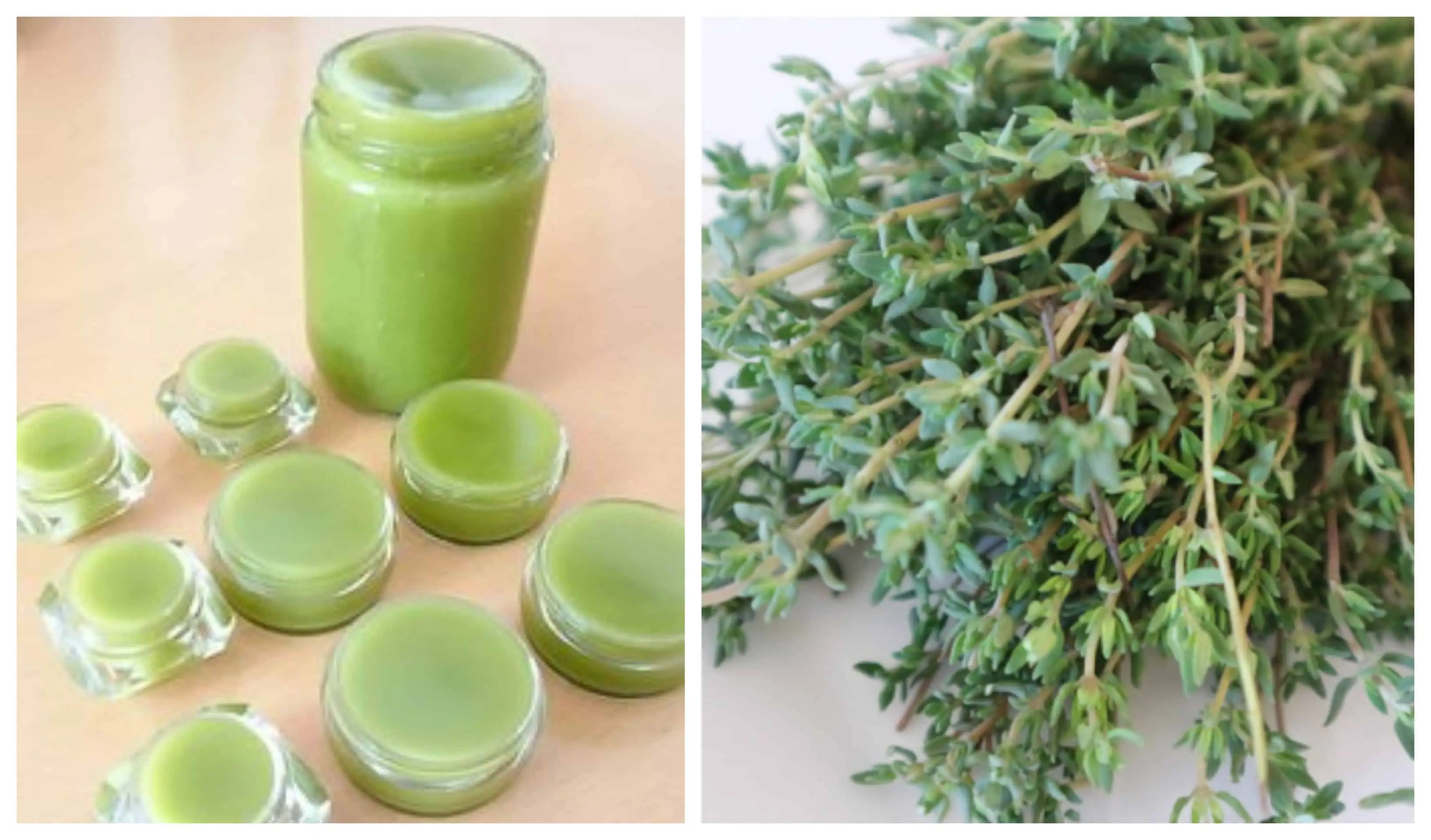 Dar z nebies na zápal priedušiek a choroby pľúc: Hrsť týchto listov ...