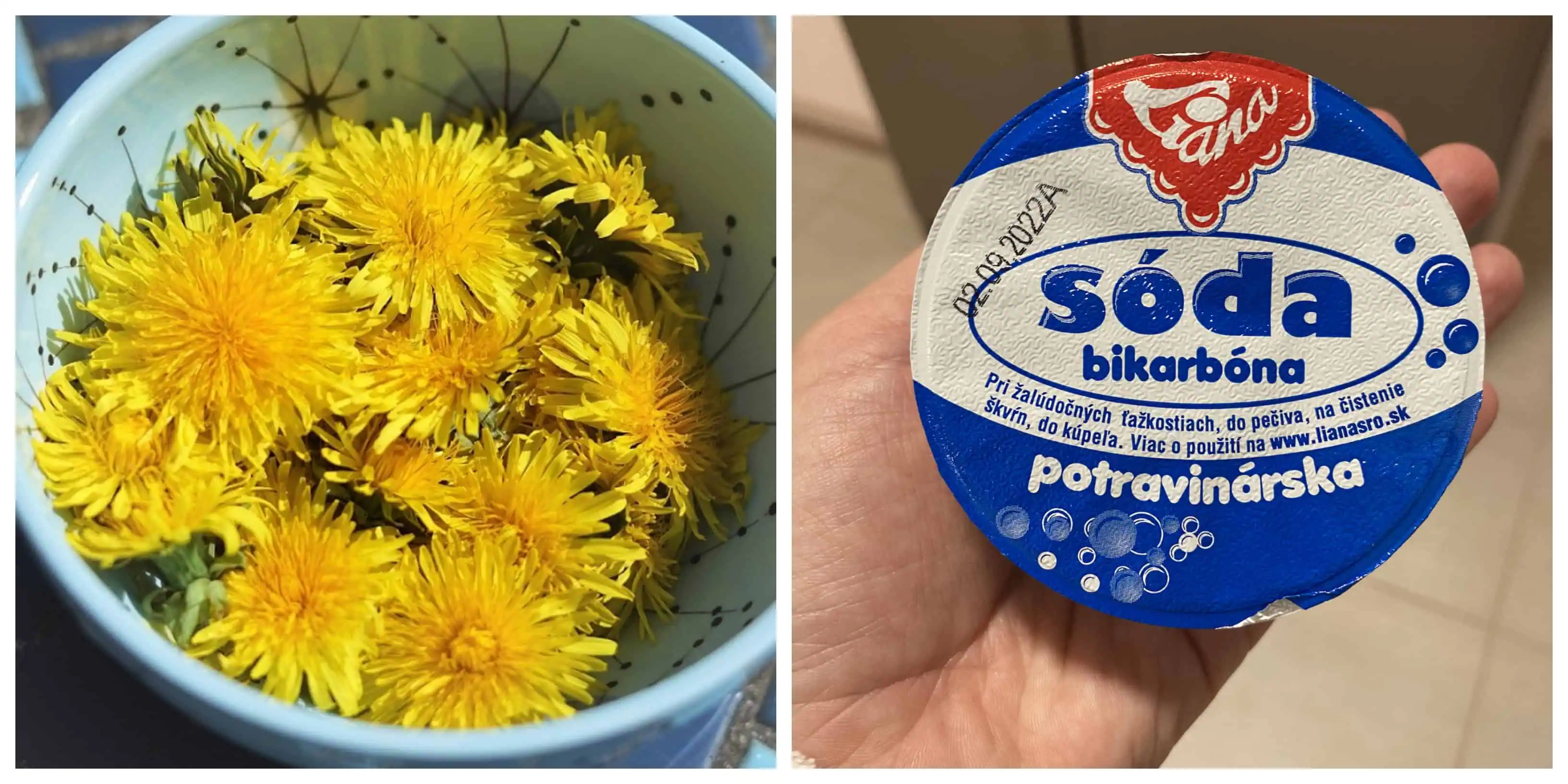 Zmiešajte púpavu s obyčajnou SÓDOU a navždy zabudnite na diéty a drahé ...