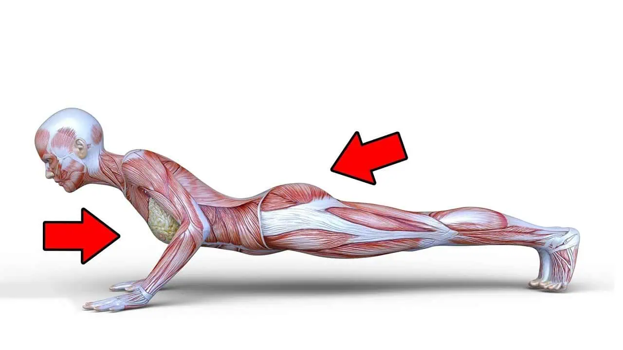 Začnite cvičiť každý tento cvik a uvidíte čo sa stane s vašim telom ...