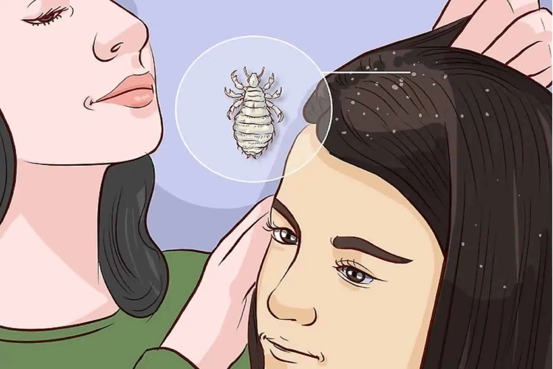 Na VŠI a HNIDY nekupujem chémiu, vďaka rade mojej babičky mám pokoj aj ...