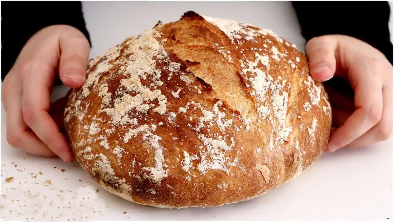 Recept na TALIANSKY chlieb bez miesenia len z 3 prísad: ZARUČENE ...