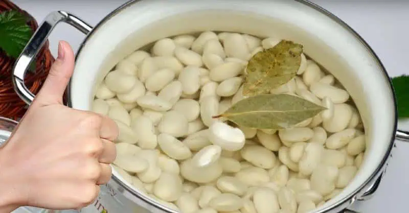 FINTA, vďaka ktorej uvaríte fazuľu až osemkrát rýchlejšie a už vás z ...