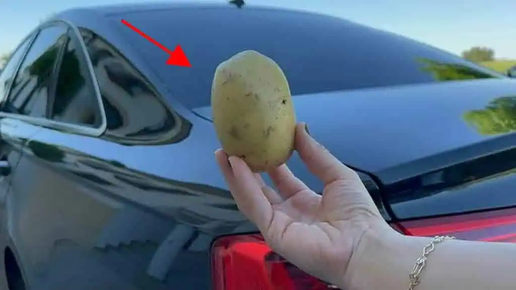 Mať 1 zemiak v aute vám môže zachrániť život a nikto vám o tom nepovie!